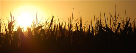 Succession planning: begin with the end in mind