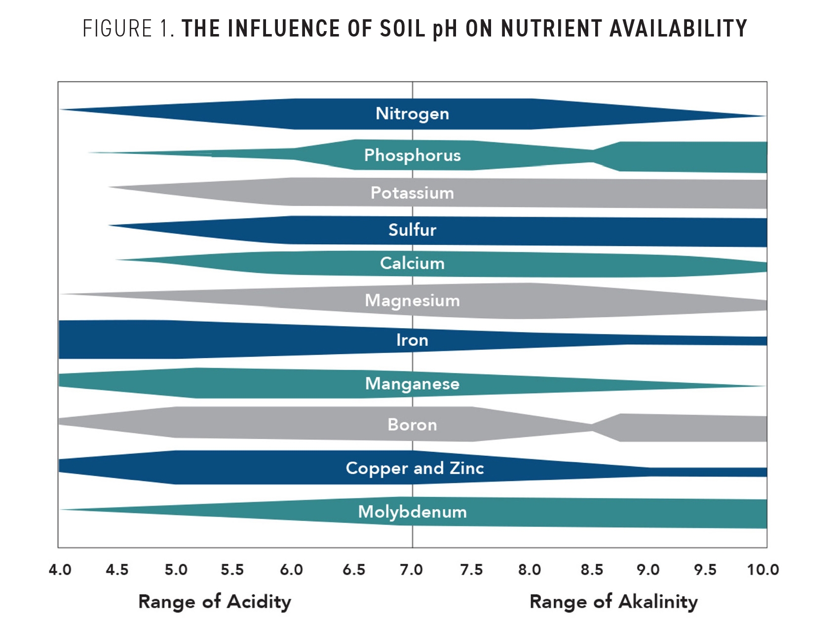 Maximize your soil's pH for success.