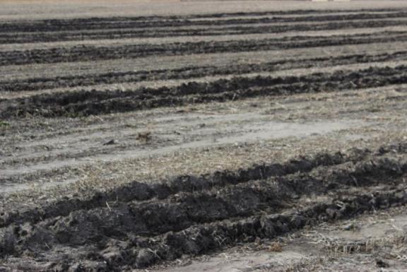 Make plans to minimize soil compaction during harvest