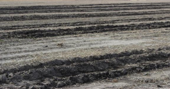 Make plans to minimize soil compaction during harvest