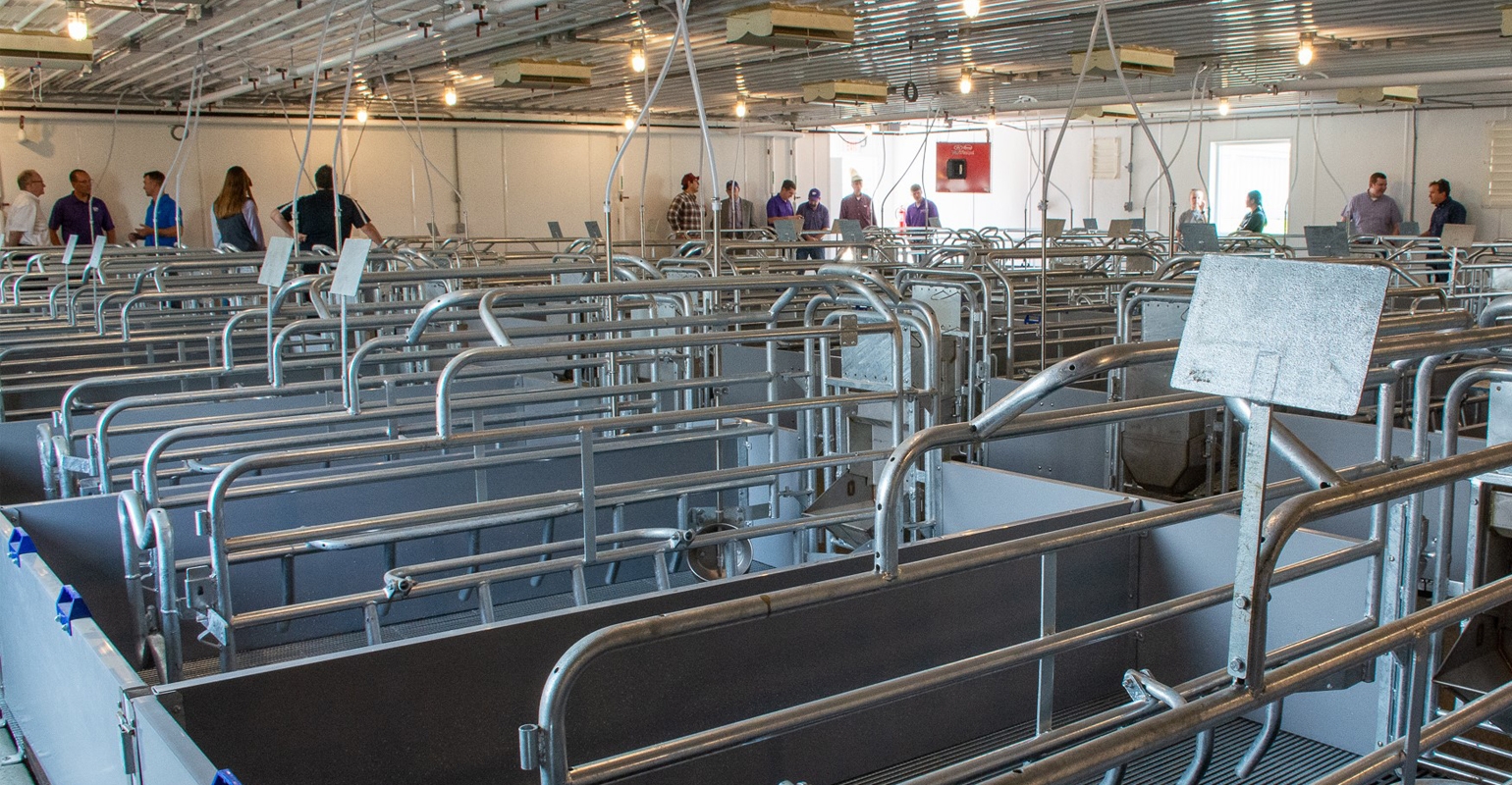 K-State opens new farrowing unit on north campus in Manhattan