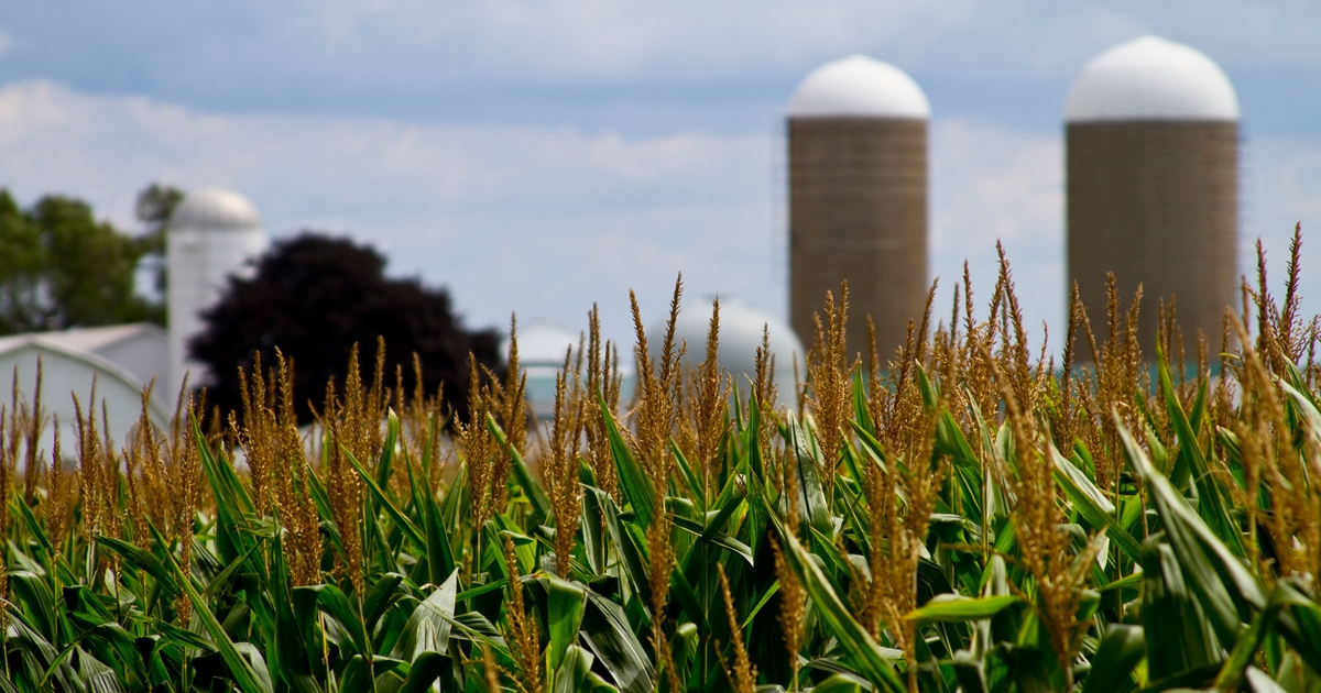 Automated drainage systems could address water problems