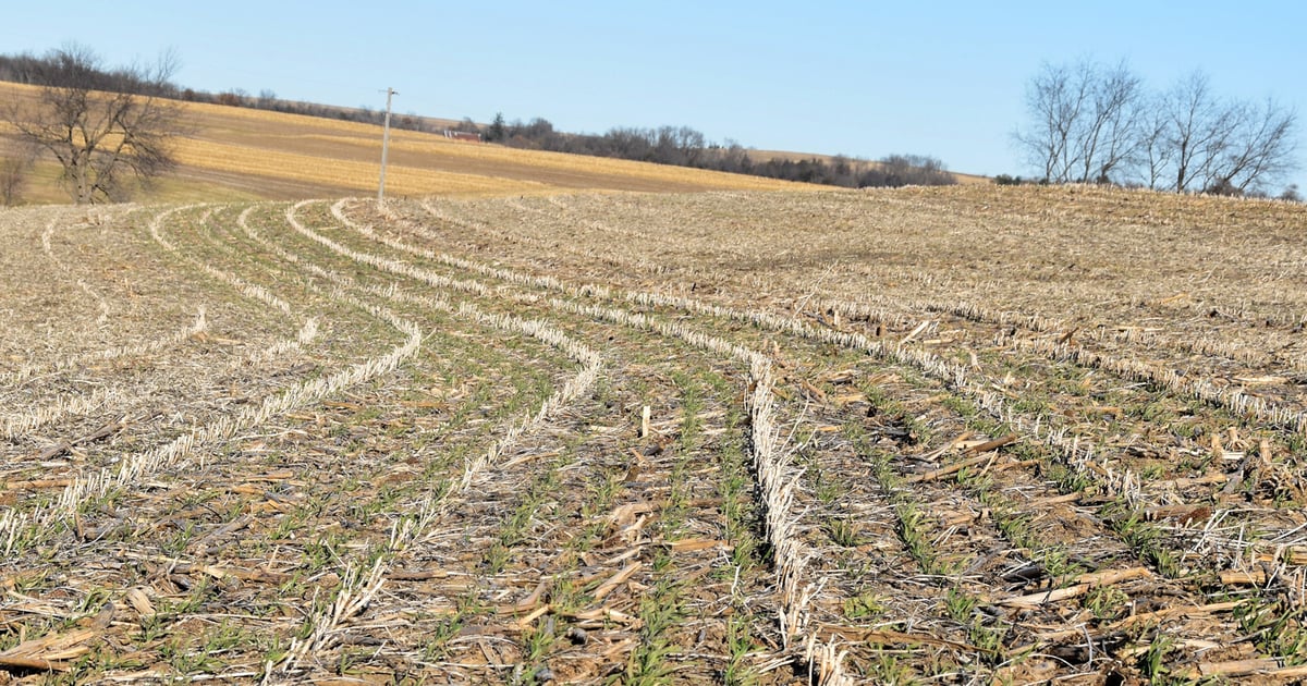 Sign up for crop insurance premium reduction