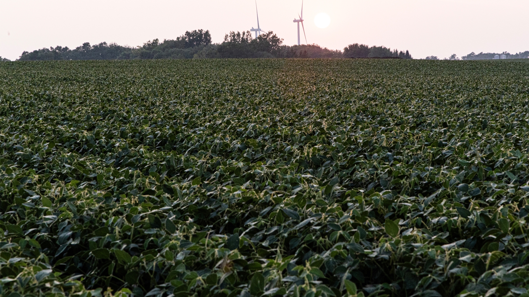 Understanding farm trusts: A practical guide for agricultural estate ...