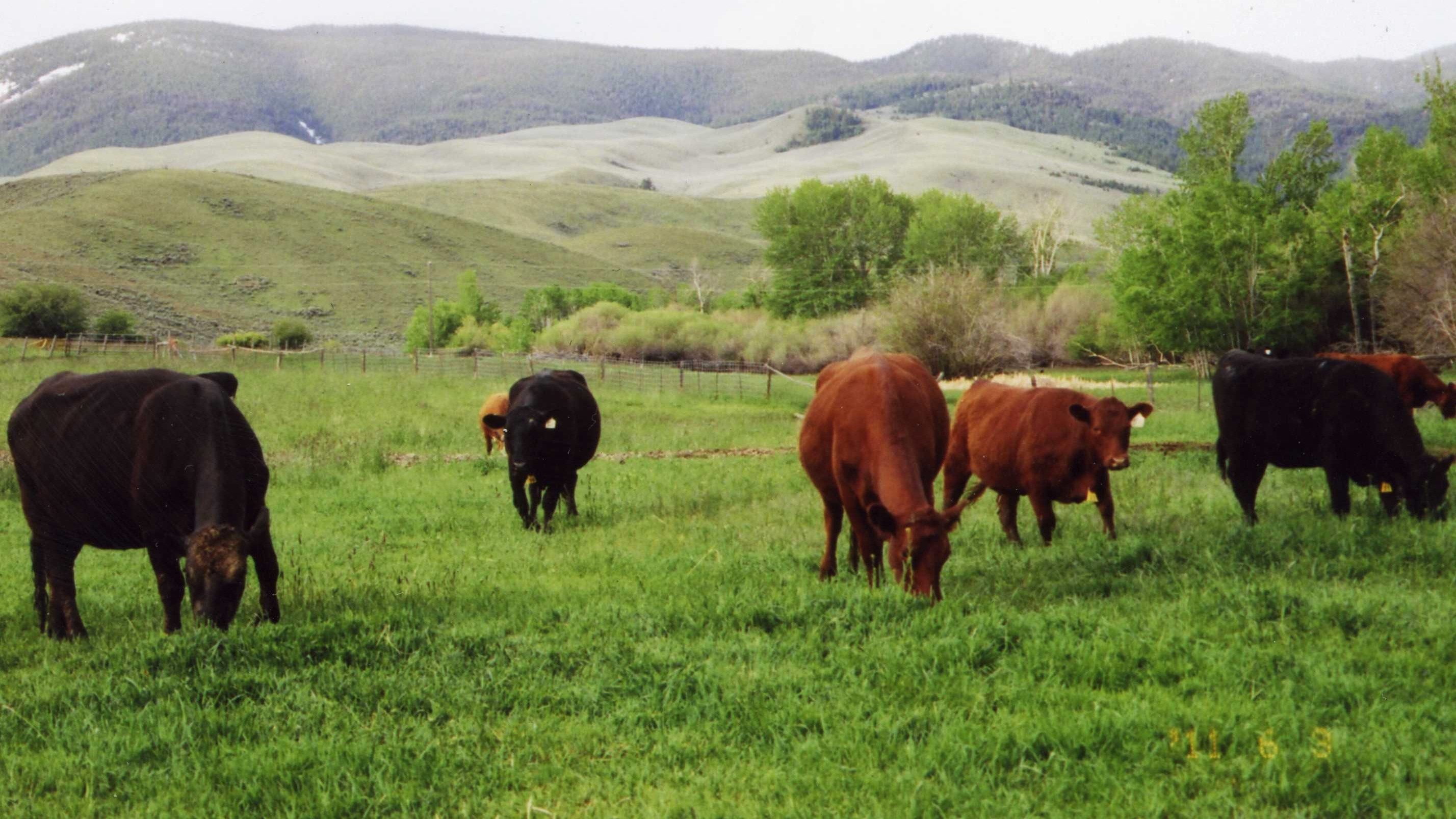 Organic recent news | Farm Progress