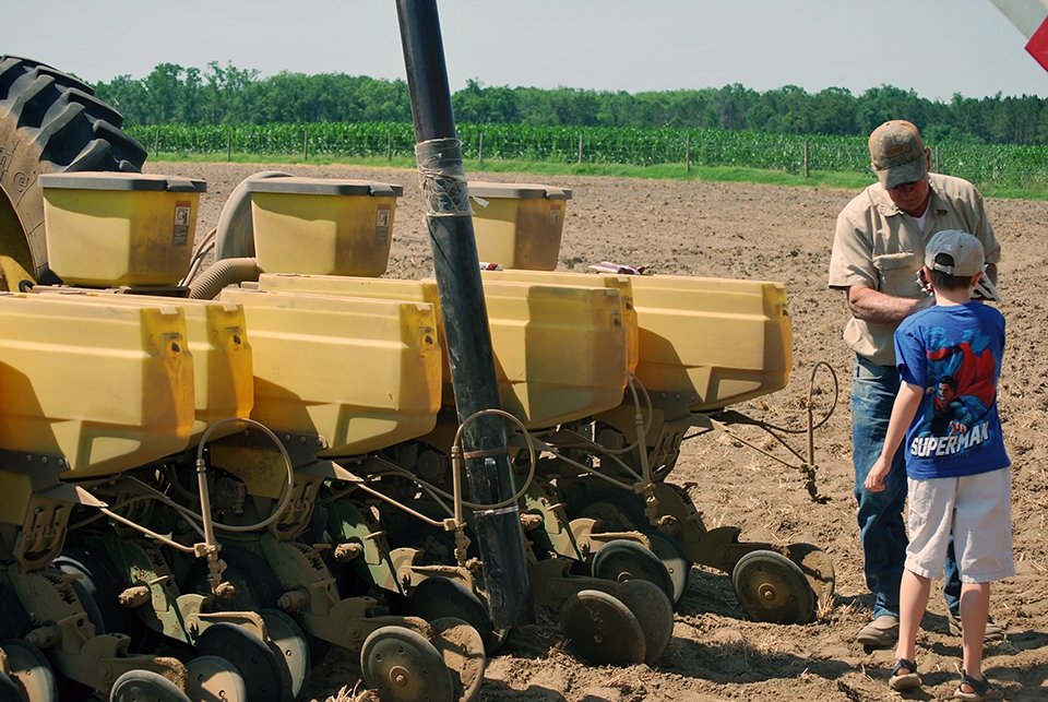 Groundnut Cultivation