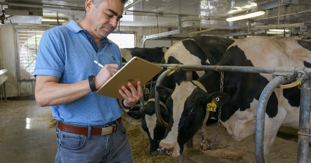 Dairy Brain project seeks to create smarter dairies