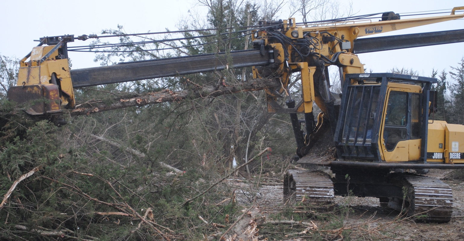 The basics of cedar tree control