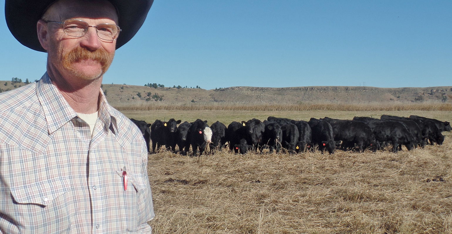 4 tips for direct marketing beef