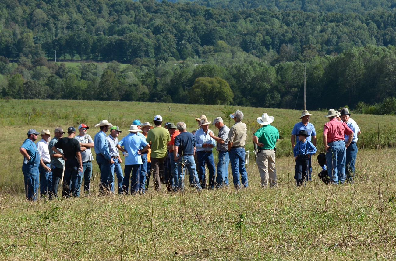Here's what to look for in pasture monitoring