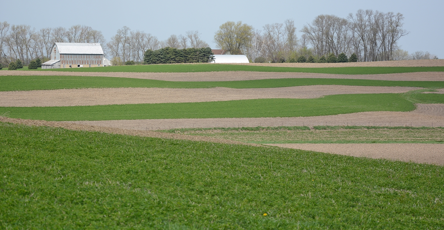 Practicing precision conservation