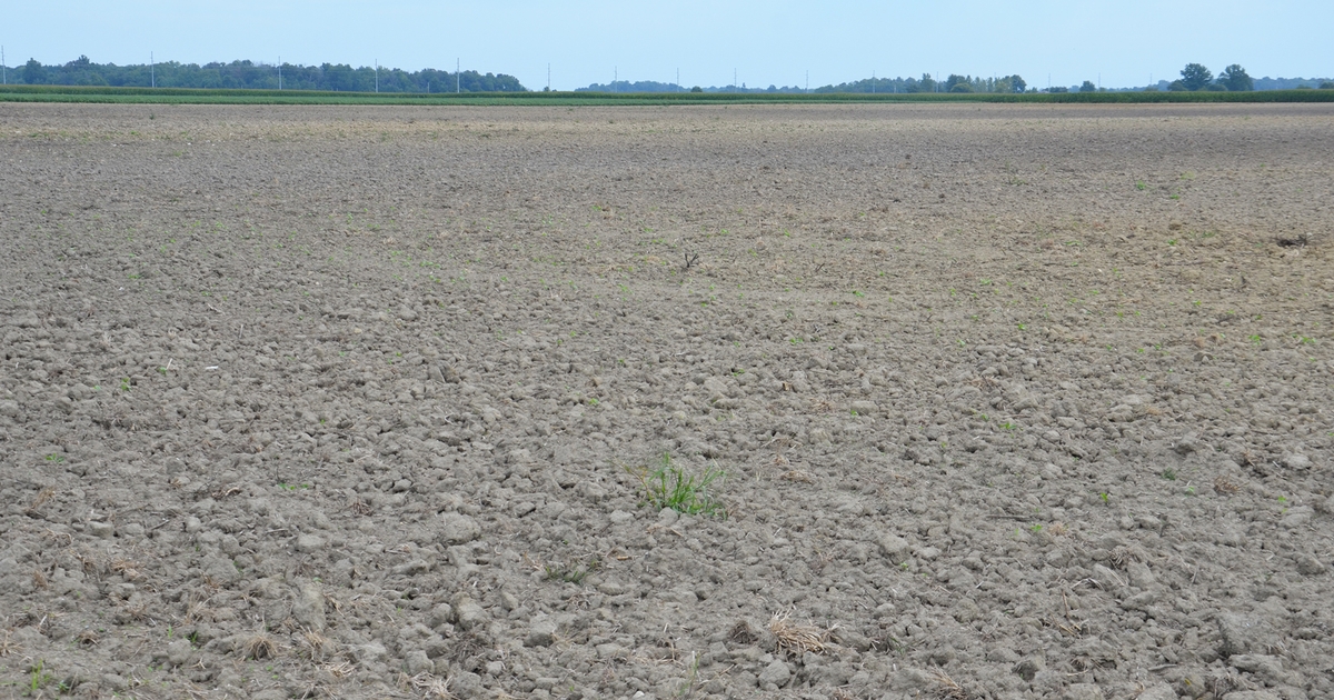 What you should know about fallow syndrome