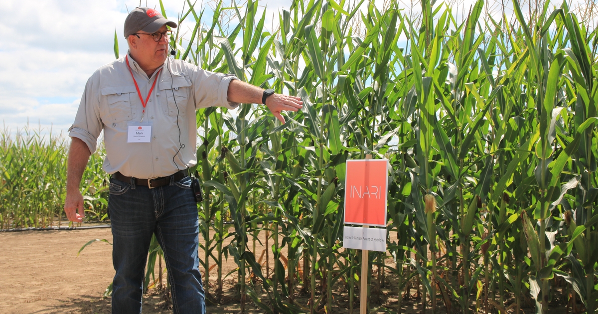 Inari brings 8 corn hybrids to market
