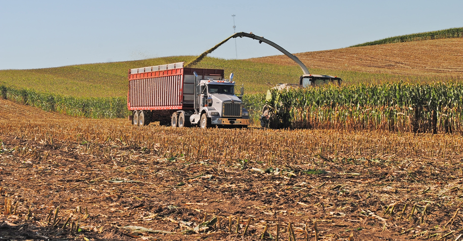 Witt Farms LLC sold on new Claas Jaguar 990 chopper | Farm Progress