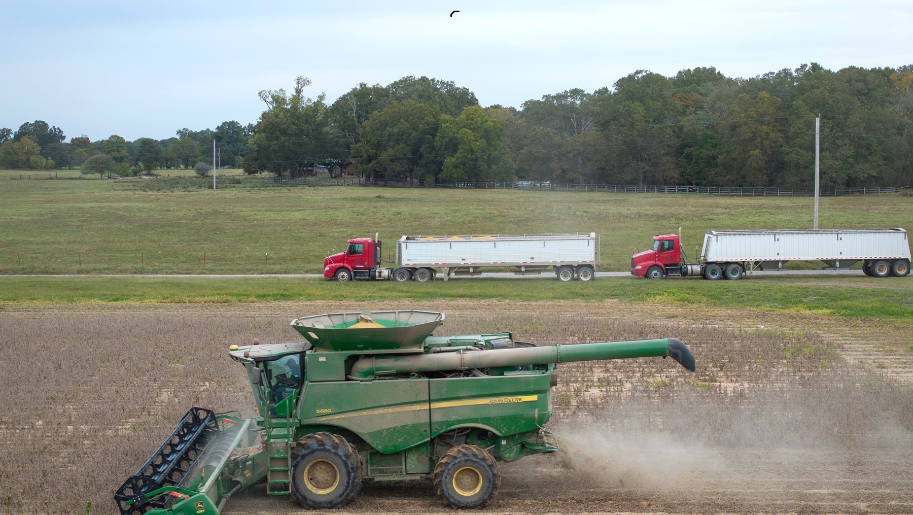 Corn dominates USDA export sales report