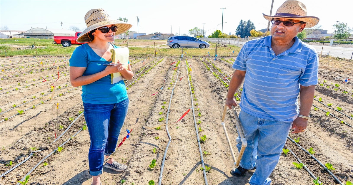 Fresno State professor honored for contributions to ag research