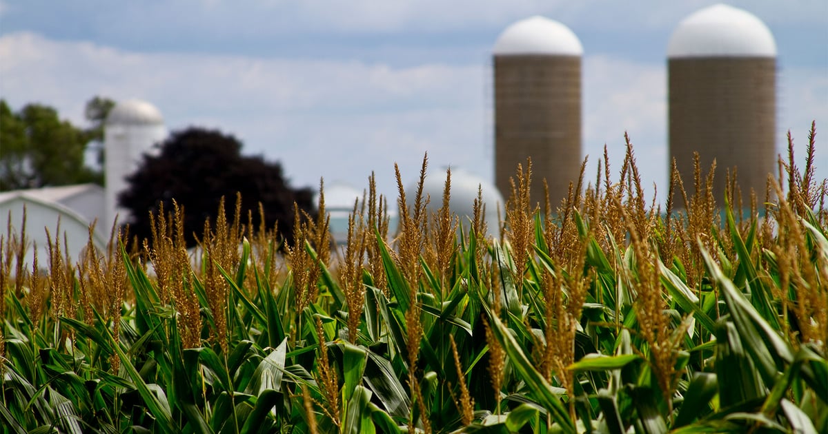 Ohio farmers preserve 12,000 acres of prime agricultural land
