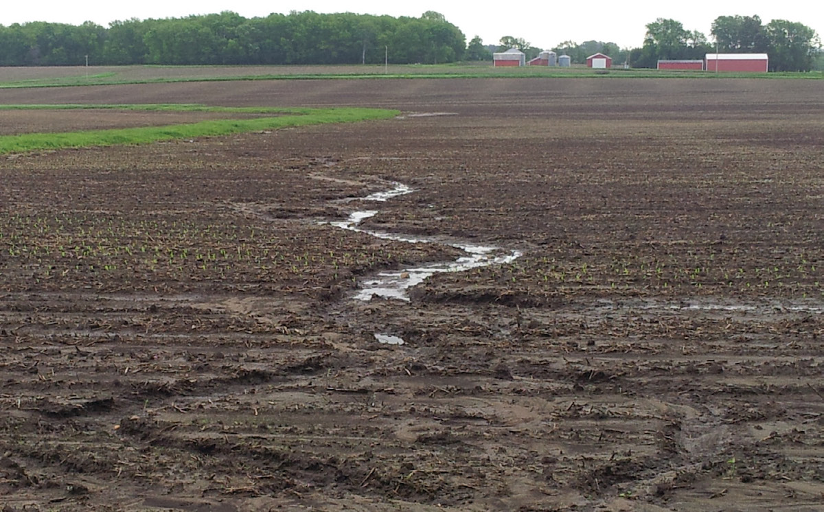 Rethink tolerable soil loss on your corn, soybean fields