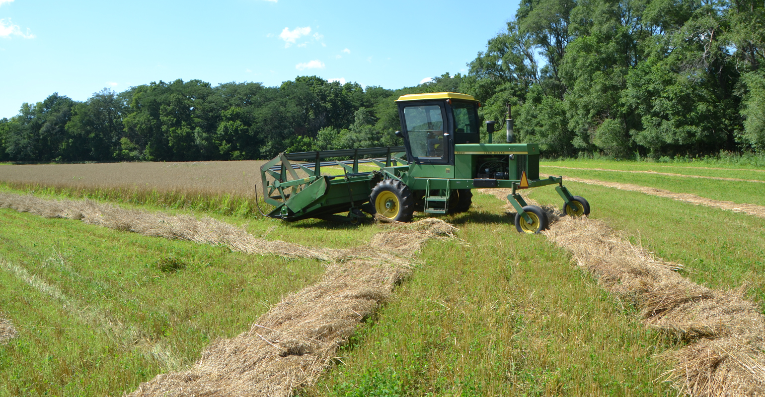 Learn to make small grains work