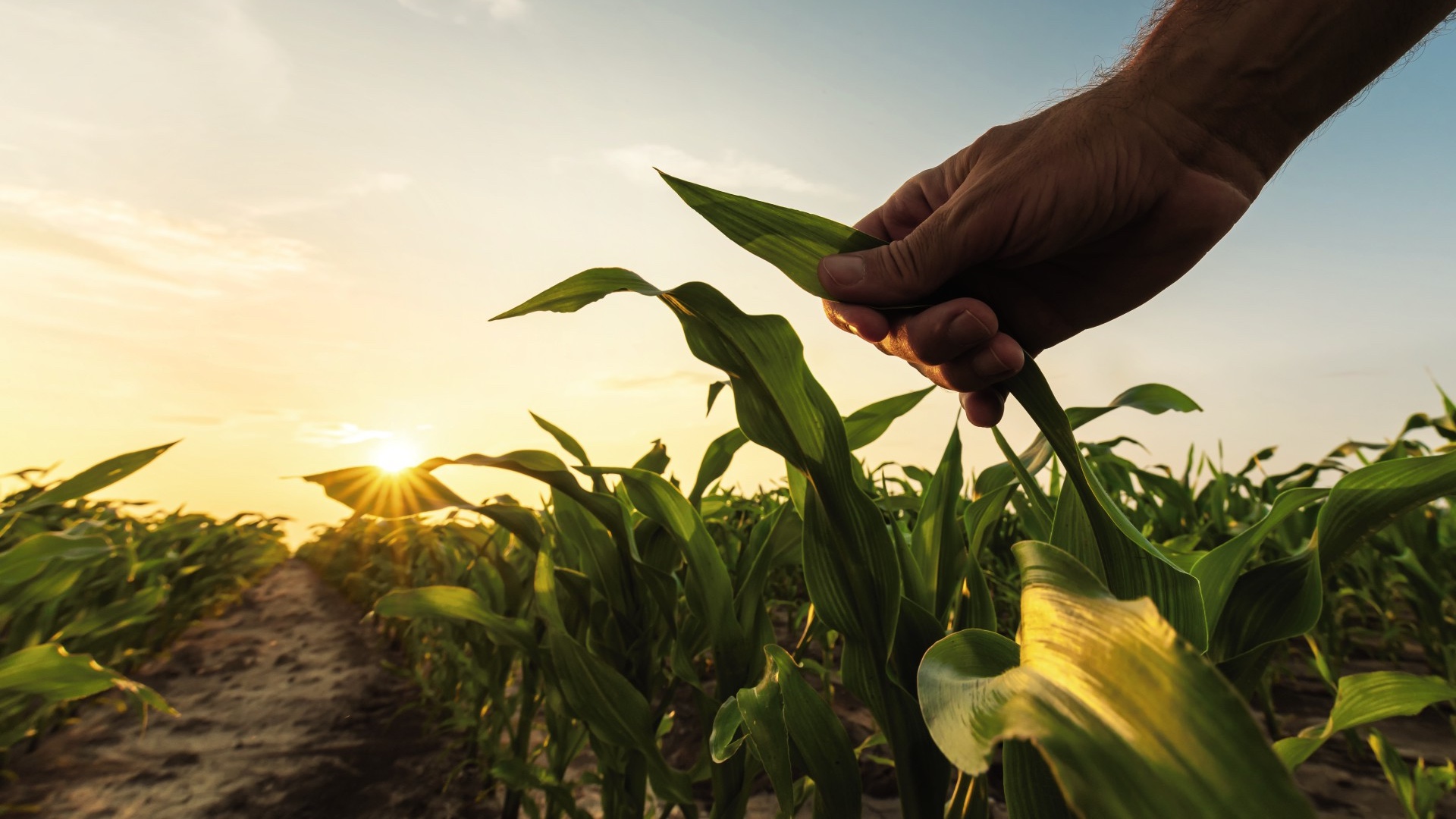 Magazines | Farm Progress