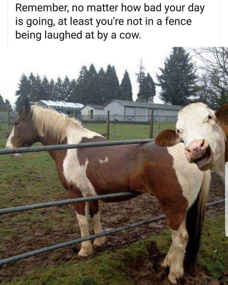 Farm Jokes Memes