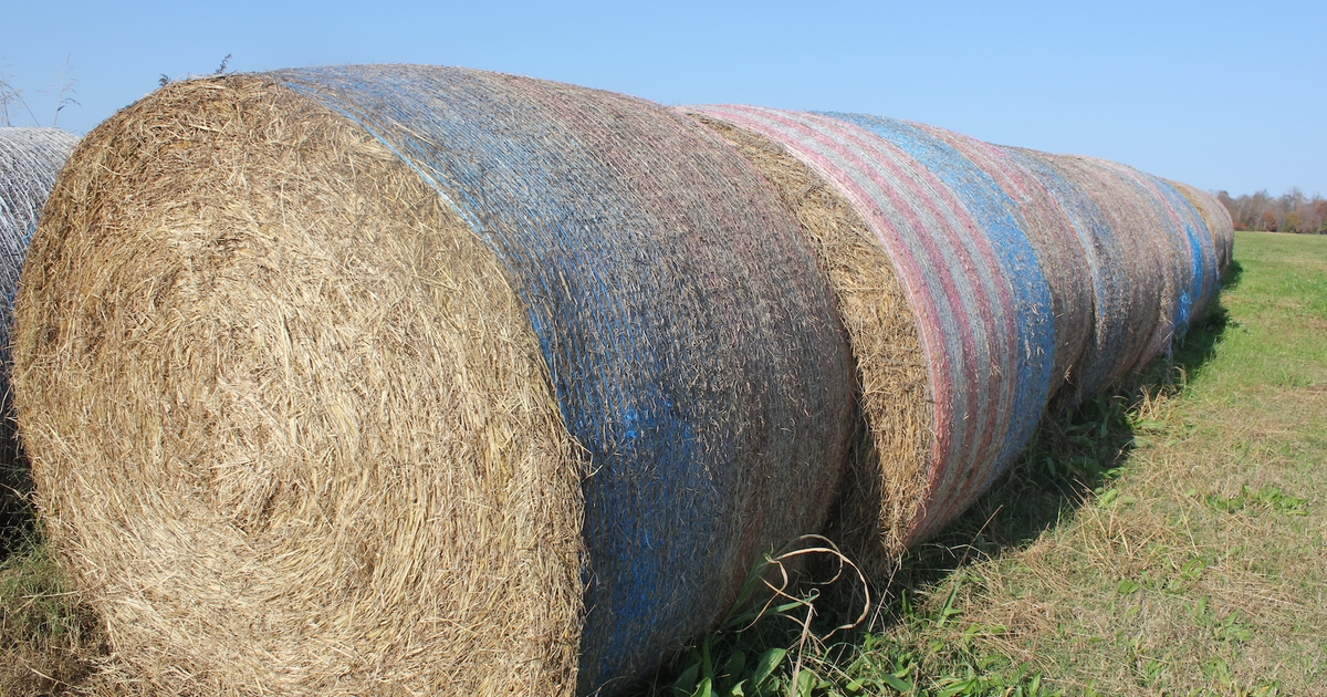 Hay and forage tips for winter and spring