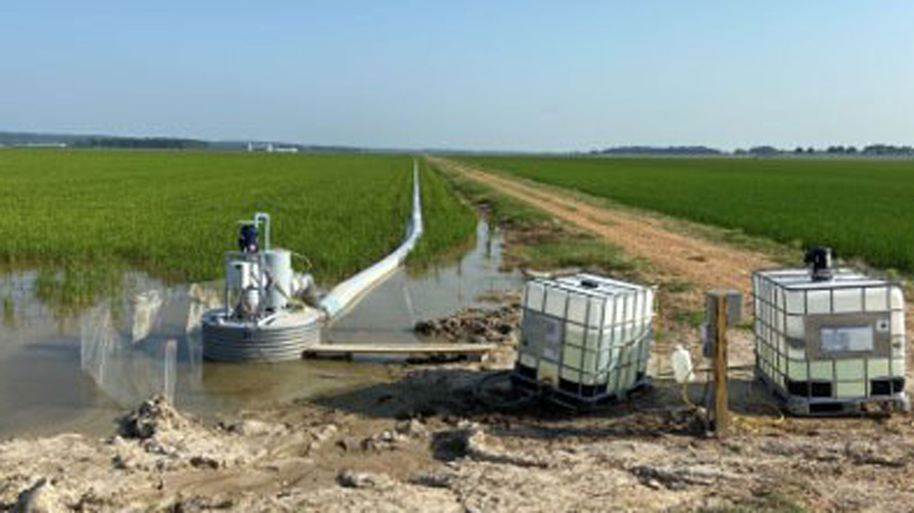Tailwater recovery system delivers gold standard in furrow-irrigated rice