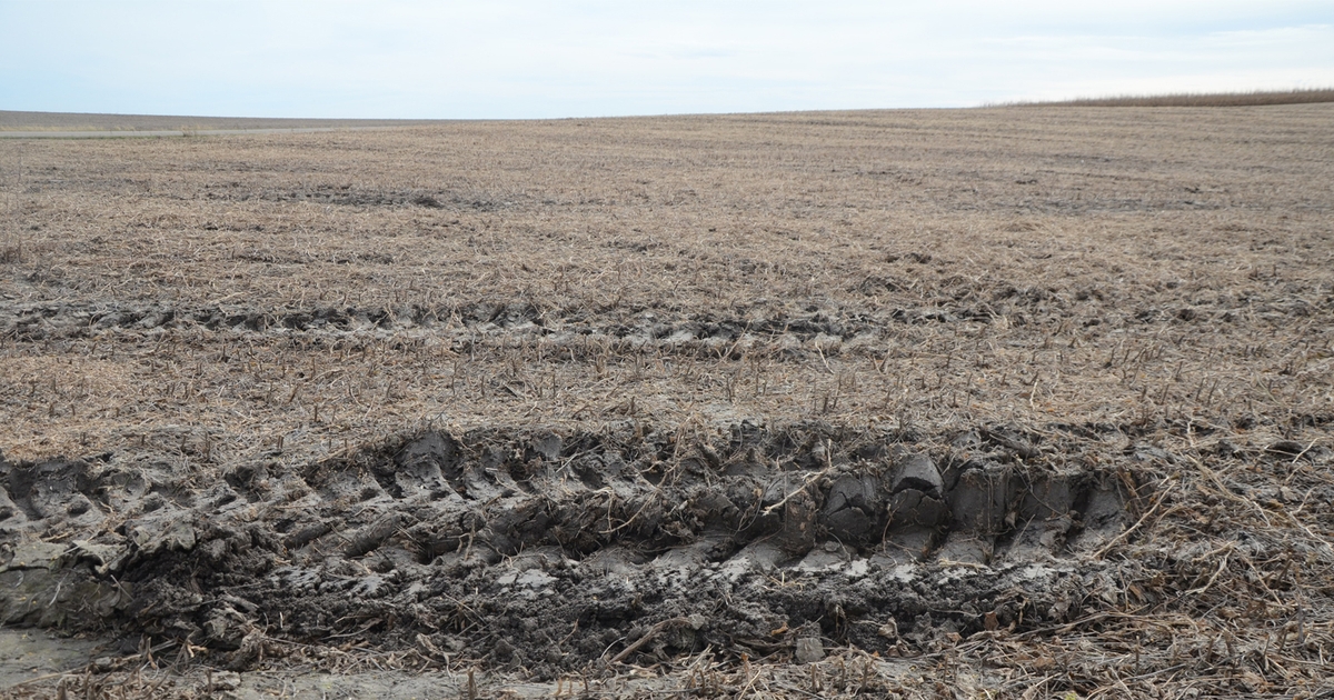 Addressing harvest ruts and erosion gullies
