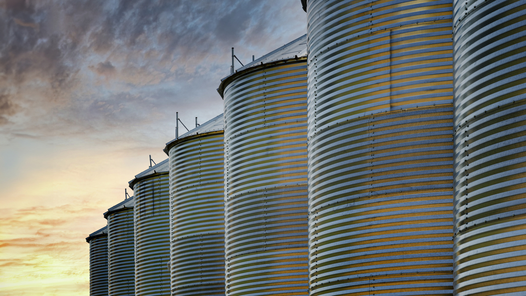 Firestorm Herbicide Registered For Broad Spectrum Weed Control In Over ...