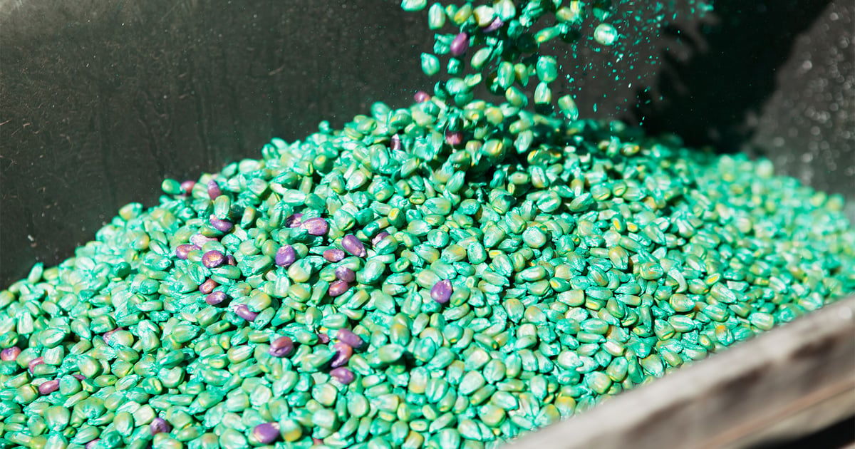 Seed shopping time, Part II