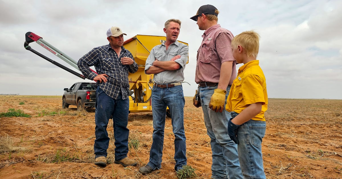 Recent Texas rains sow hope into 2026 crop