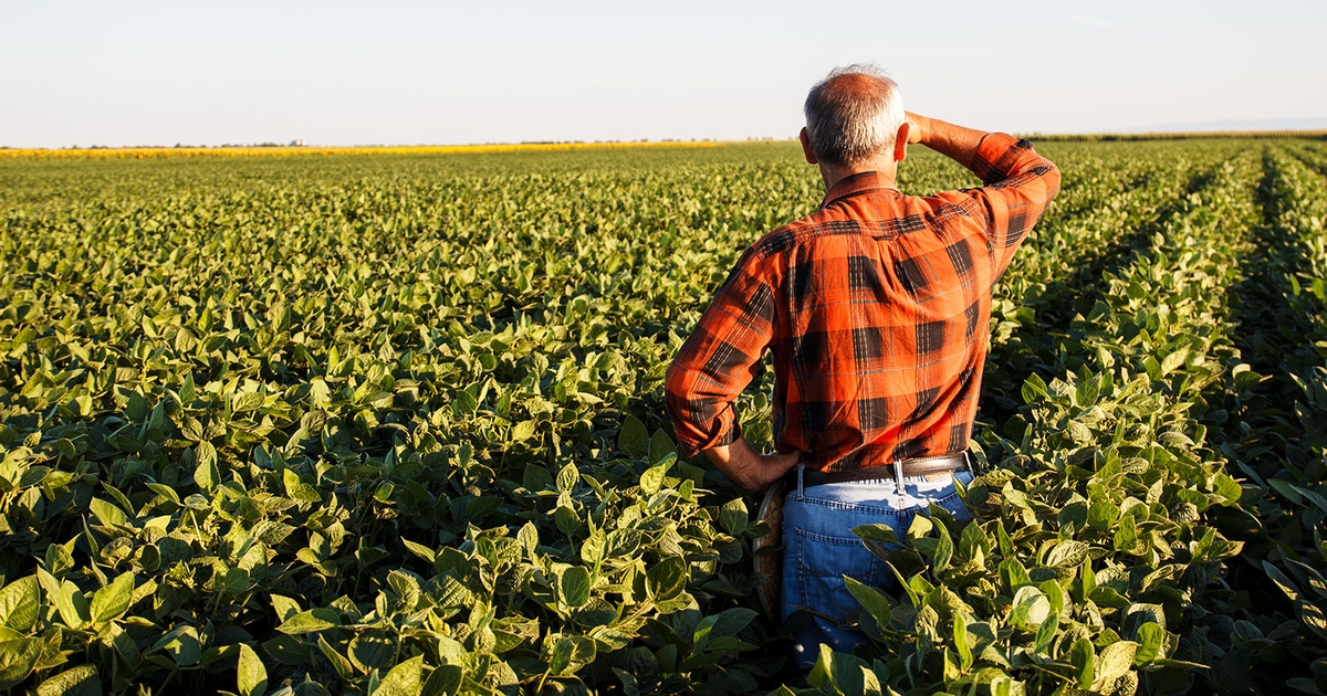 Consumers define farmer as 'person who feeds the world'