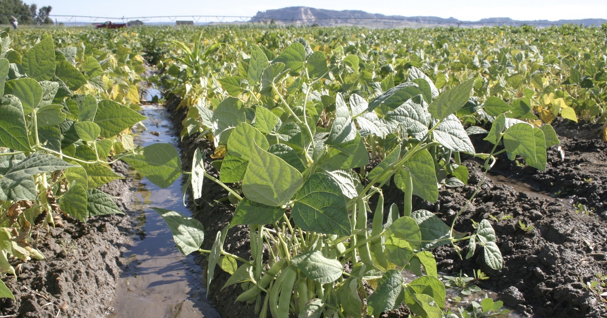 Nebraska specialty crop projects receive funding from USDA grant progr