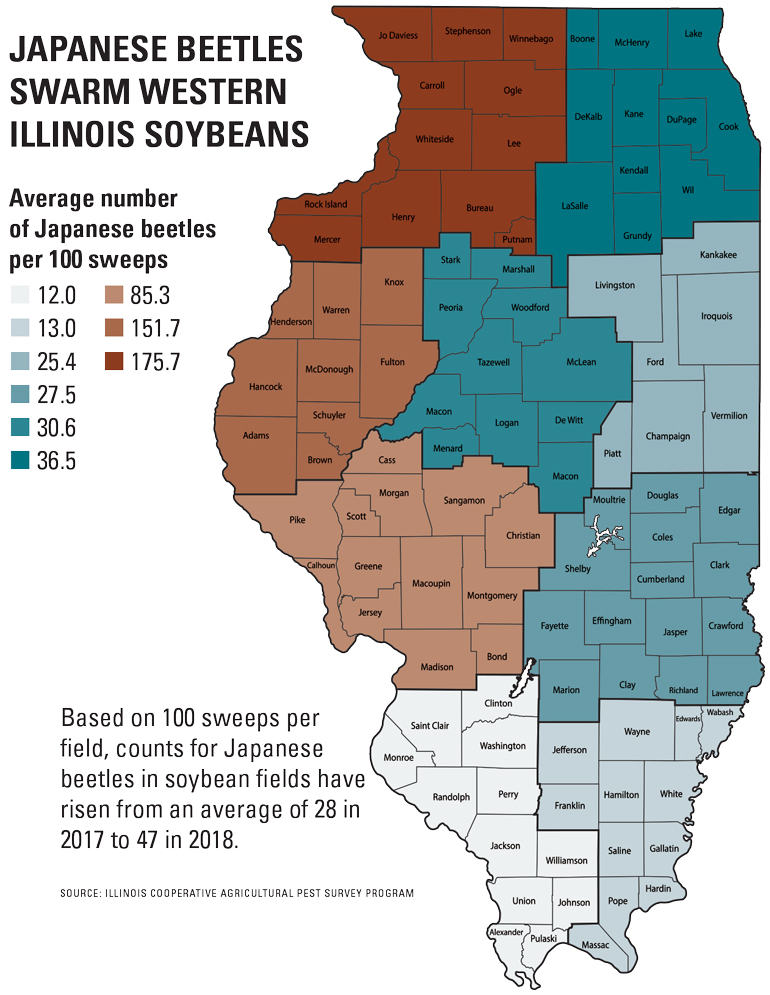 Survey: Defoliating insects on rise in Illinois fields
