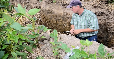 Five good reasons why you should dig a soil pit on your farm