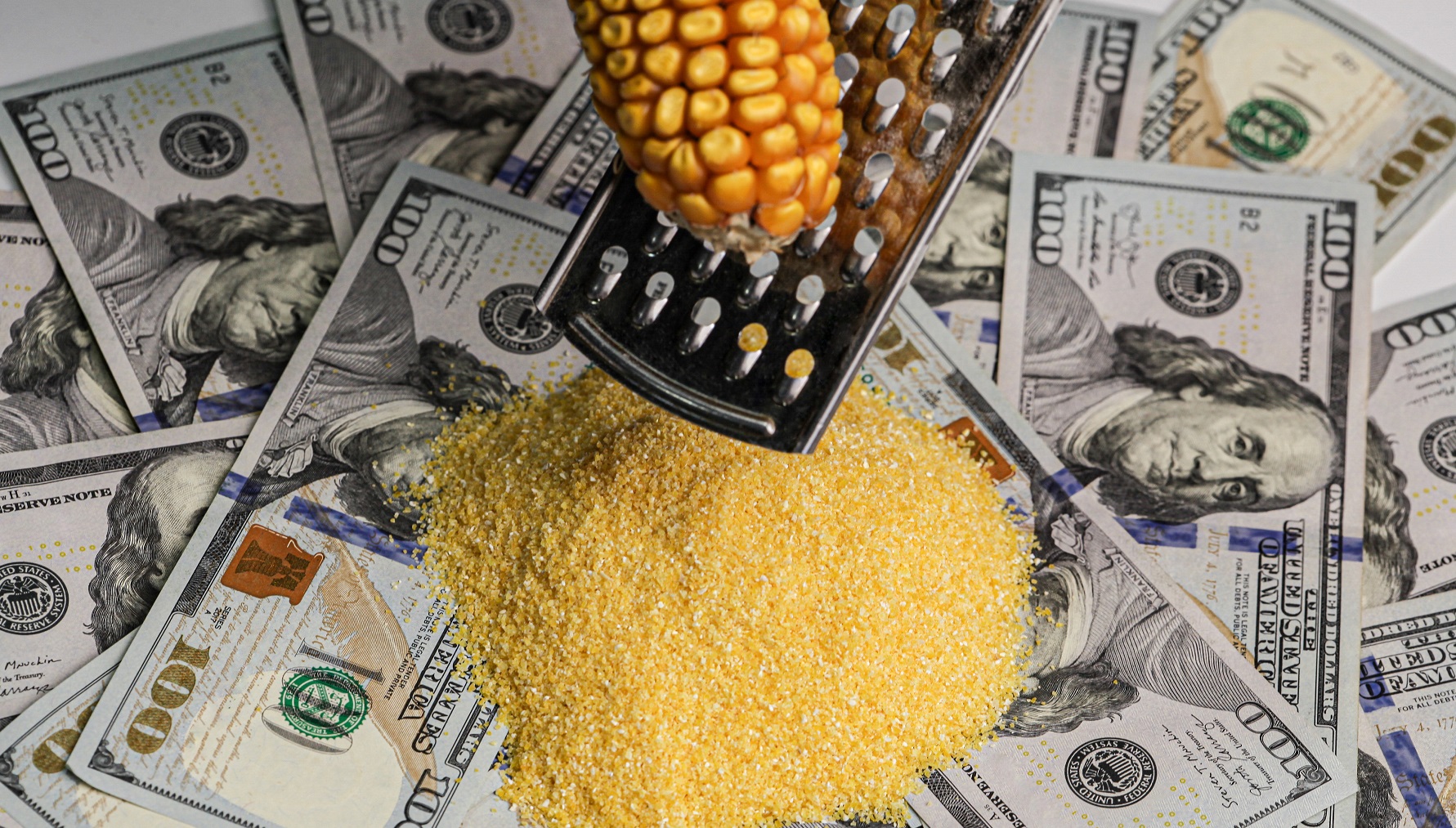 Latest Cash Grain Bids | Farm Progress