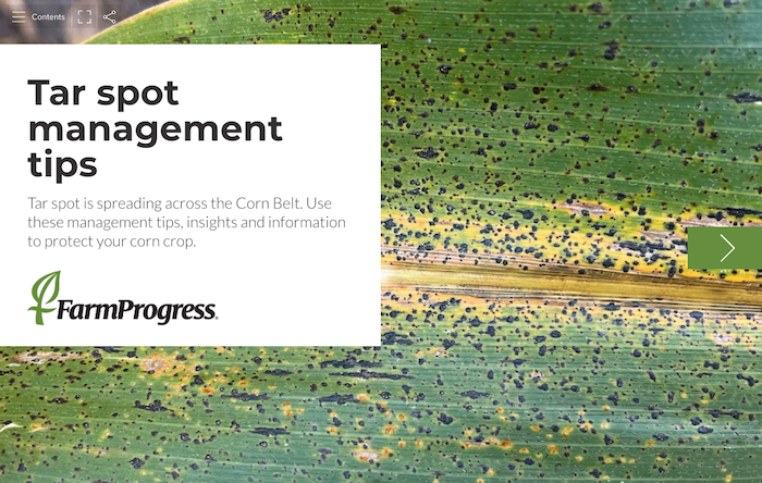 How to manage tar spot in corn