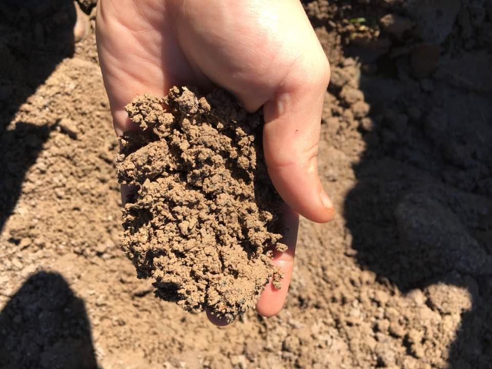 Paper mill residuals available free to U.P. farmers as soil amendment