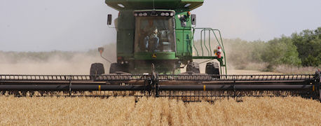 Bayer CropScience Selects Seward Co. For Wheat Breeding Station