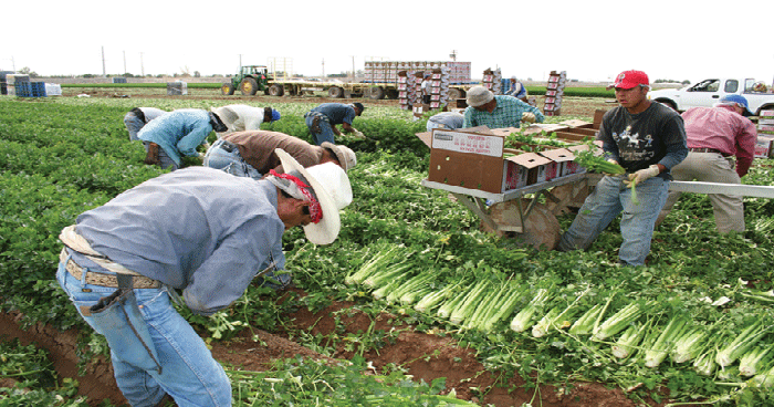 Georgians testify on farm labor issues | Farm Progress