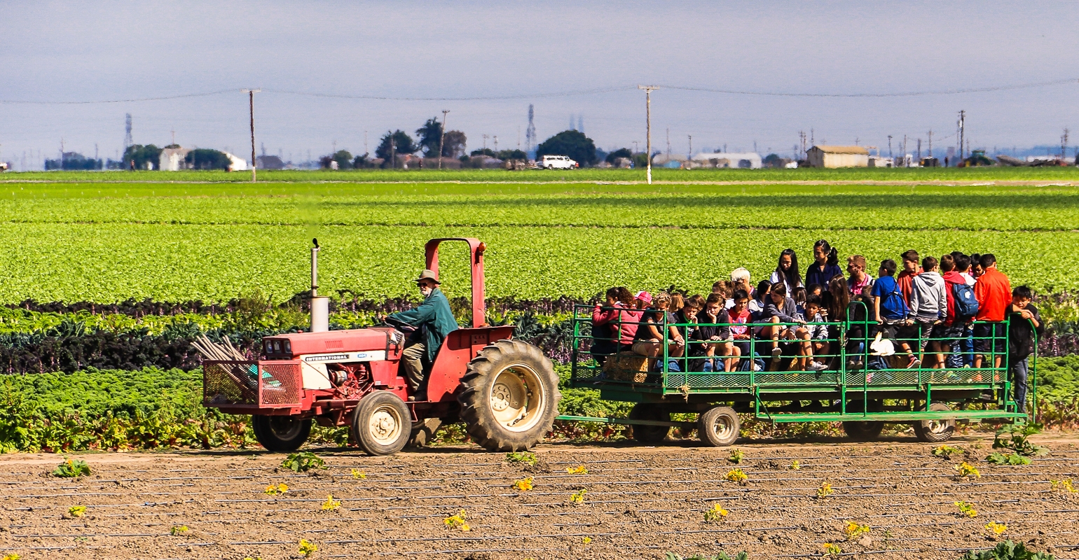 Farmers commemorate Ag Day every day