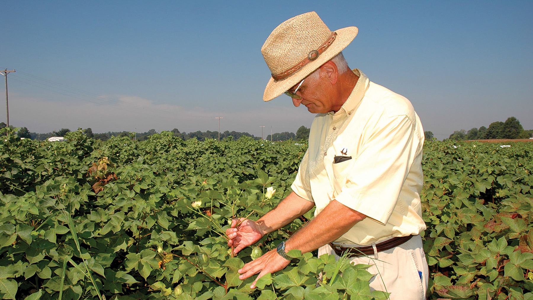 New interactive map pinpoints entire world’s cropland