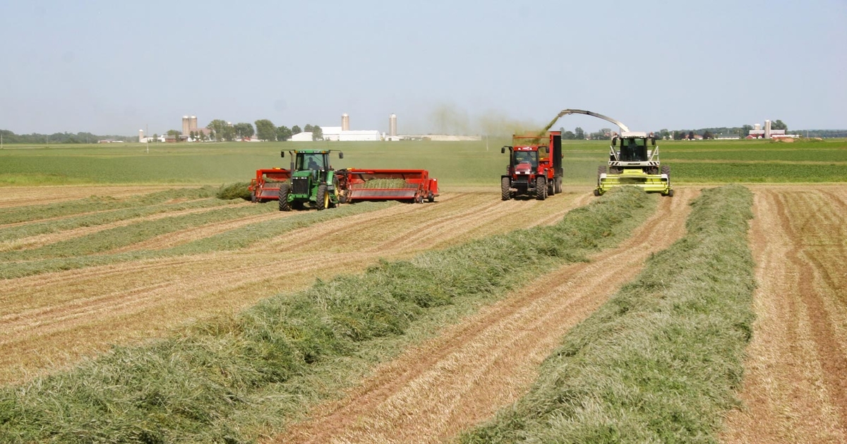 Having surplus feed puts you in driver’s seat