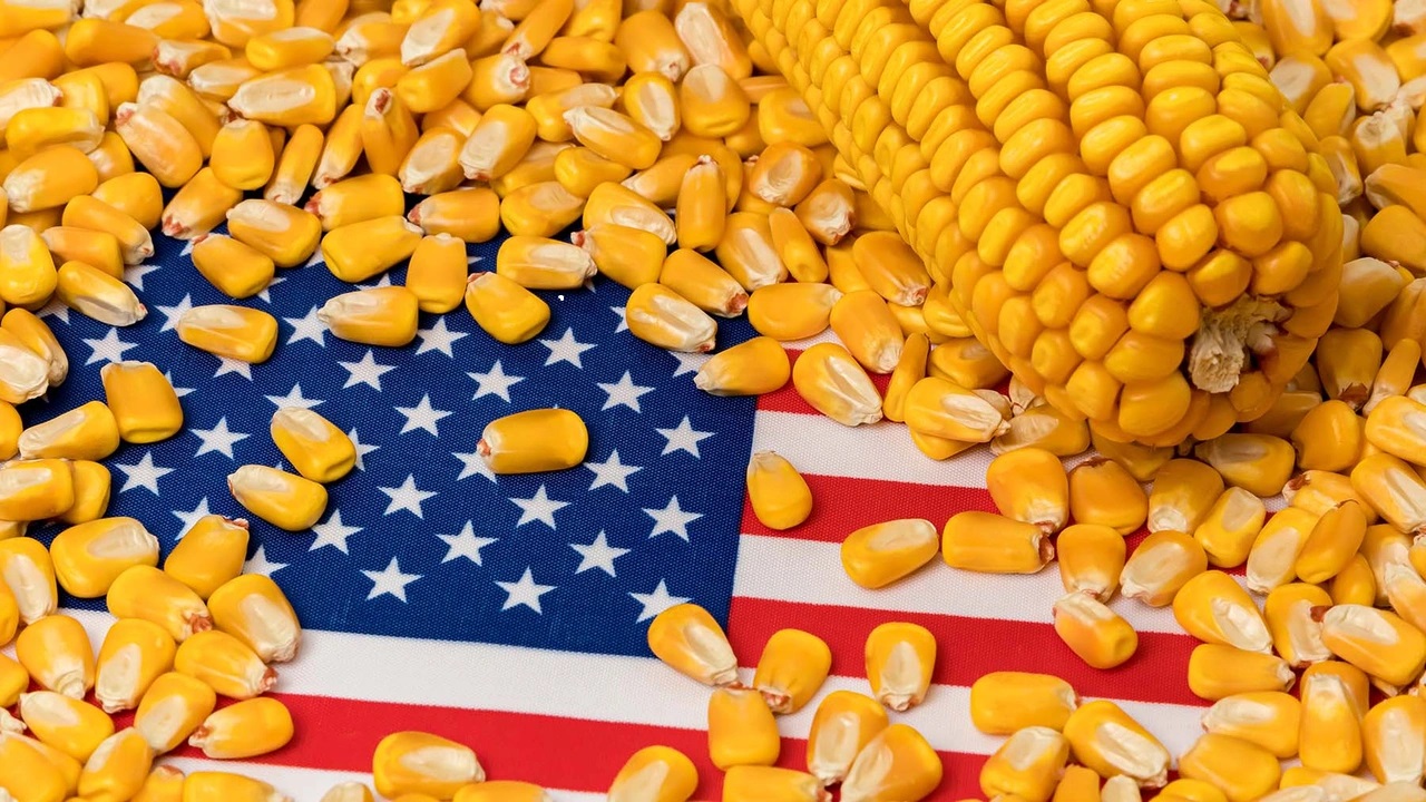 Magazines | Farm Progress