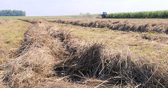 Follow Rules for Maintaining CRP Acres