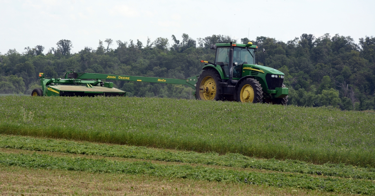 Take note of tips for productive alfalfa stands