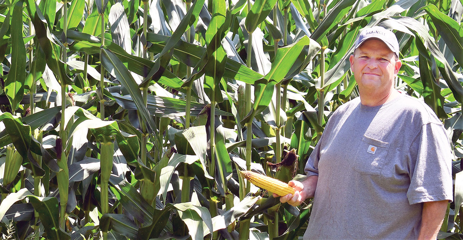 Cotton farming at Oliver Farms