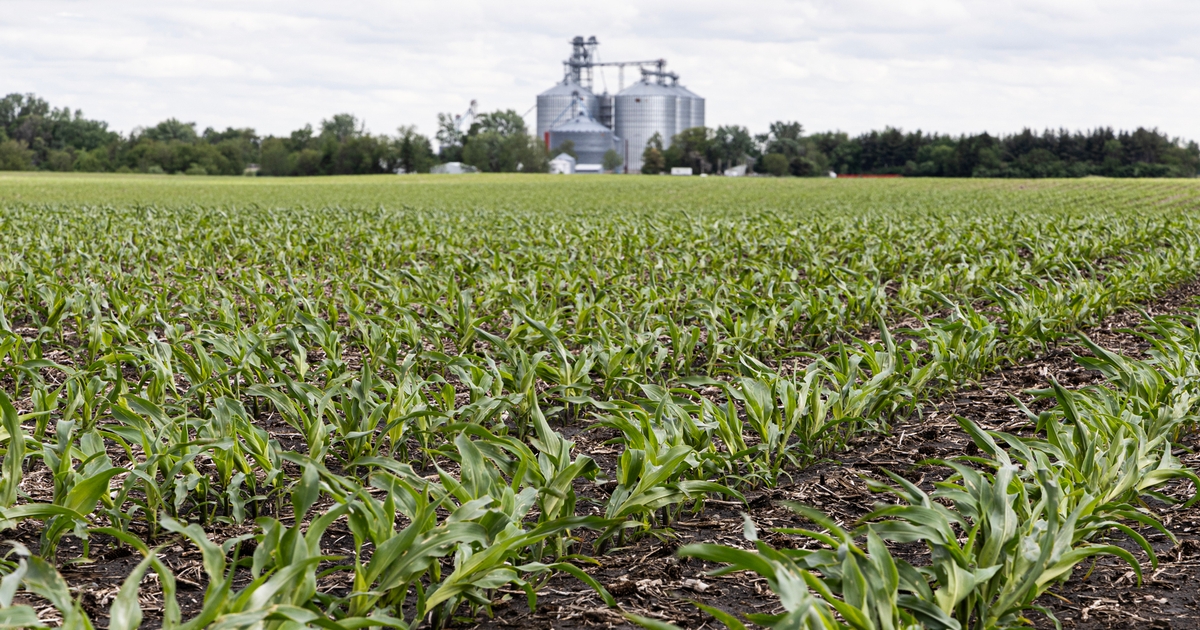 How to prioritize soil testing and fertilizer decisions