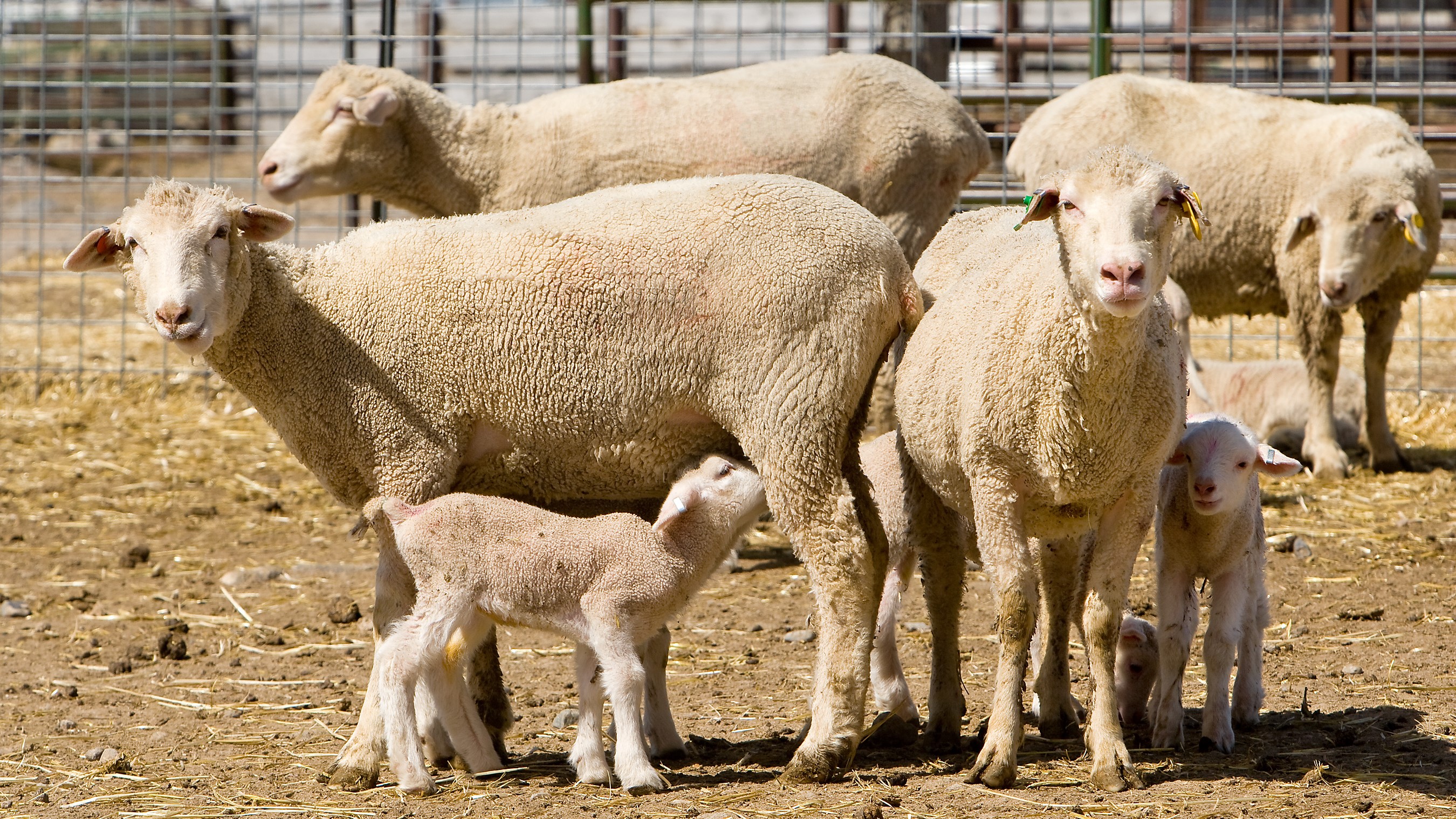 Custom Farming Agreements | Farm Progress