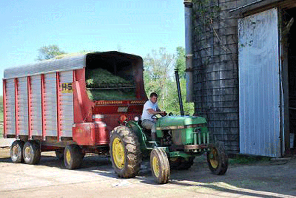 Kentucky silage harvest well ahead of schedule | Farm Progress